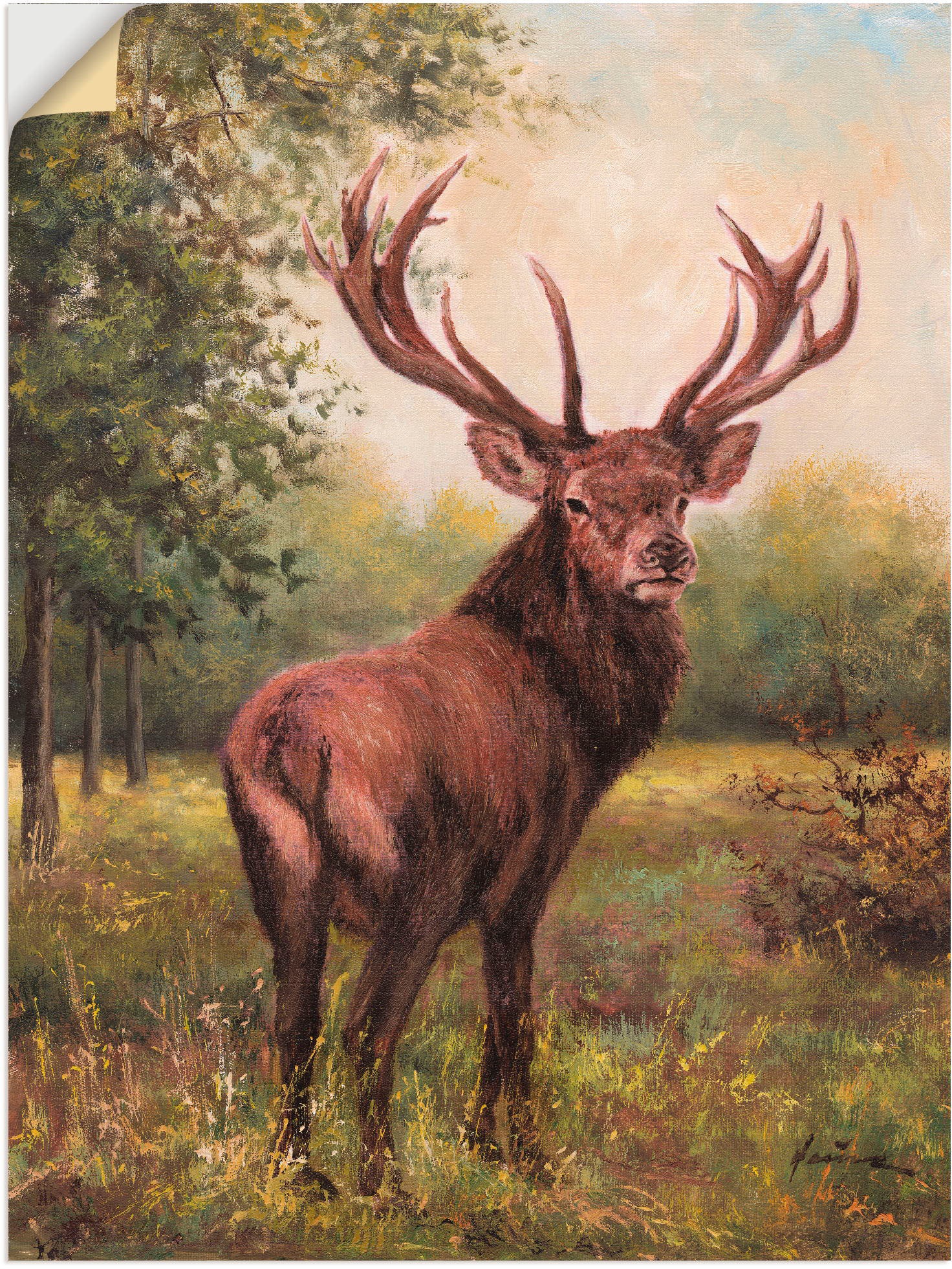 Artland Wandbild »Hirsch«, Wildtiere, (1 St.), als Leinwandbild, Poster ...