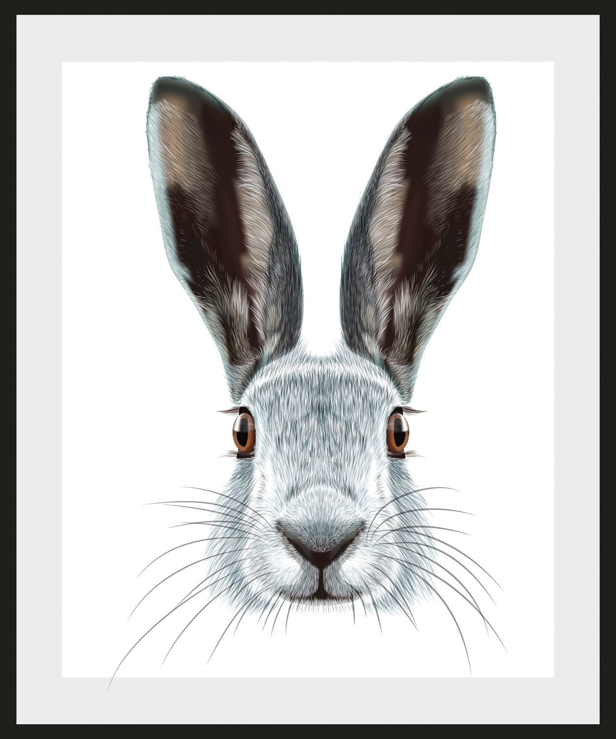 queence Bild »Selma«, Hase-Hasen-Schwarz-Weiß-Kunst-Haustiere, (1 St.), HD Premium Poster-Druck ...